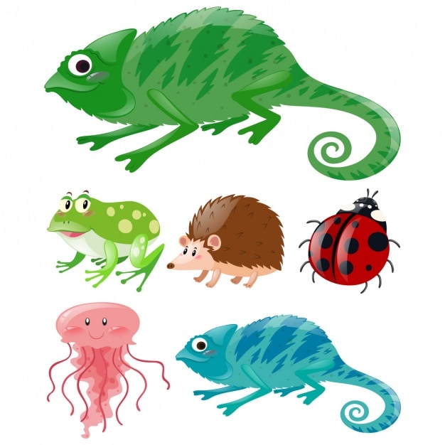 Free: Coloured animals collection - nohat.cc