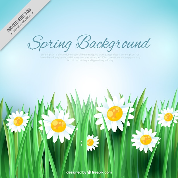 Free: Green grass field, Green Lawn Poster , Posters flowers grass ...