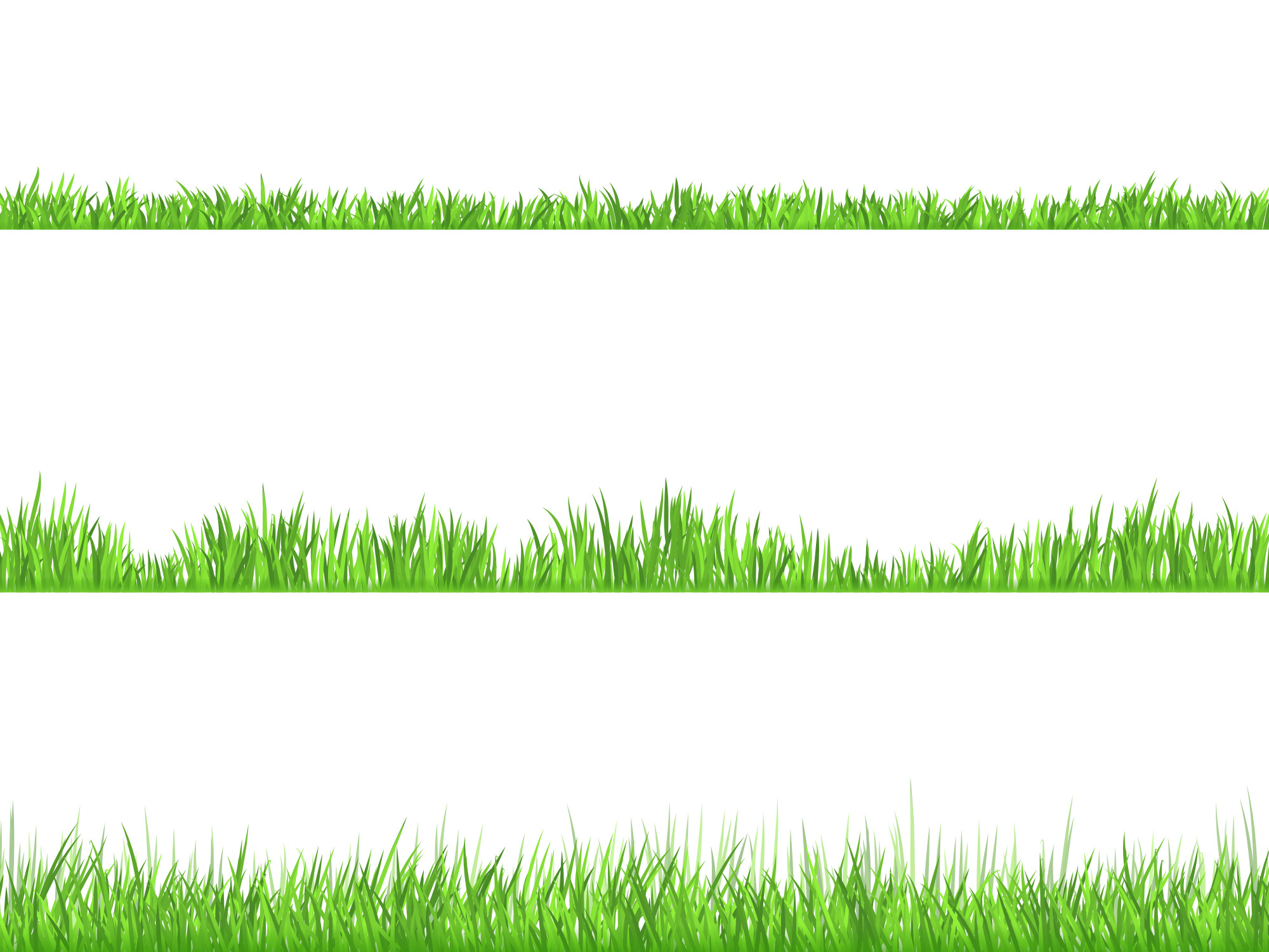 Free: Green grass, Line Of Grass transparent background PNG clipart ...
