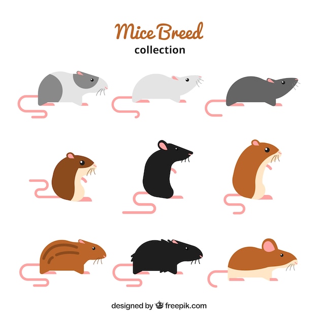 Free: Mice set in flat design - nohat.cc