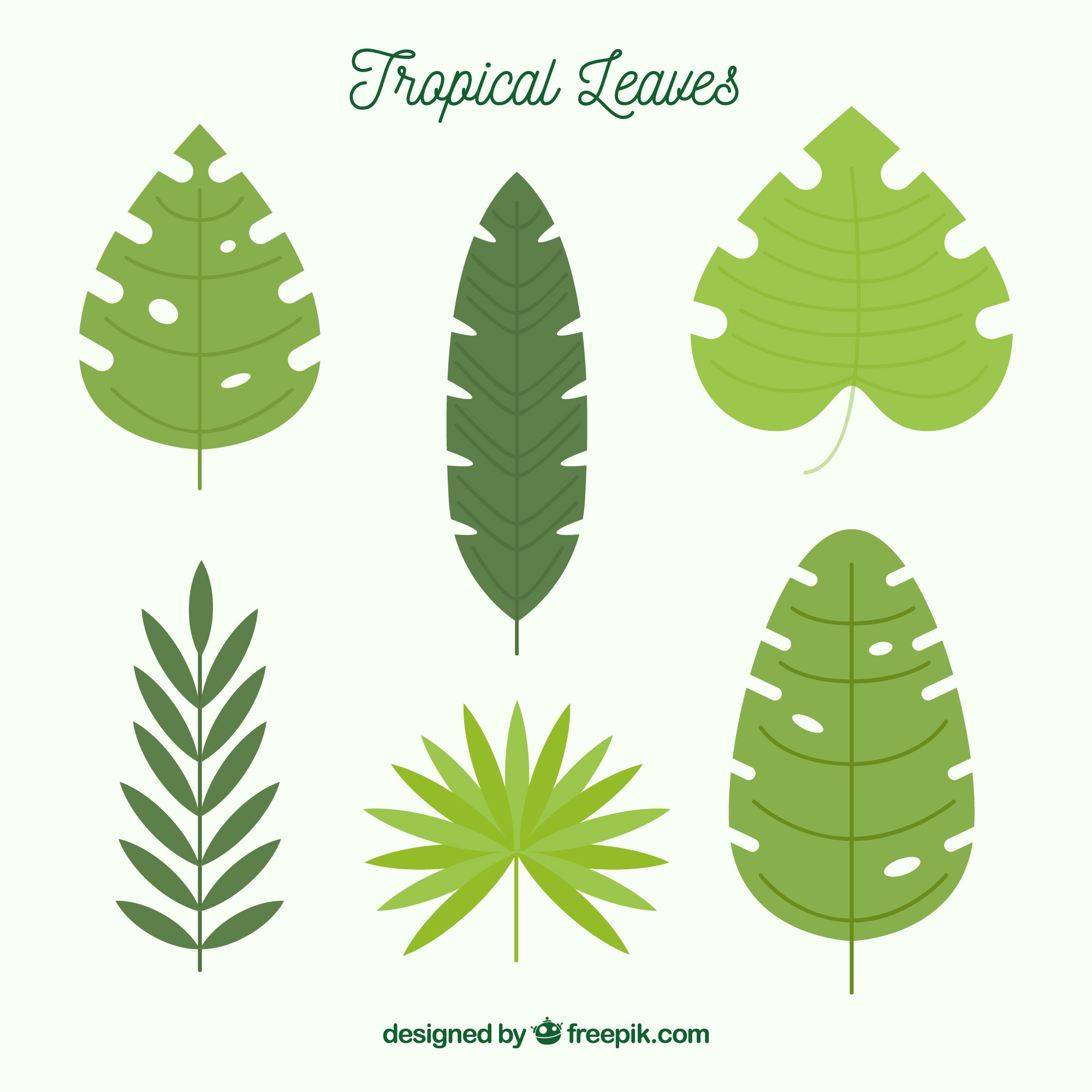Free: Green tropical leaves PNG transparent, Hand drawn illustration ...