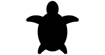 Free: Turtle Shell Transparent Image - nohat.cc