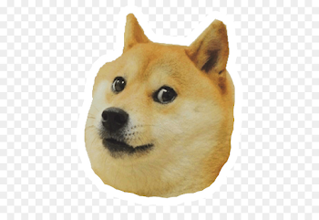 Free: doge head - Roblox - nohat.cc