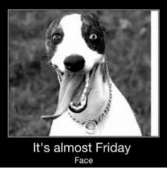 Free: 16 Best Meme Faces images | Troll face, Funny memes, Meme faces ...