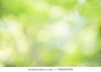 Free: Nature Background Images, Stock Photos & Vectors | Shutterstock ...