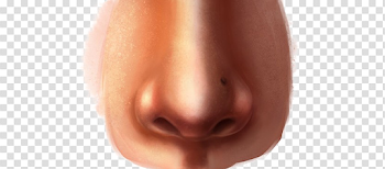 Free: Nose PNG Image - nohat.cc