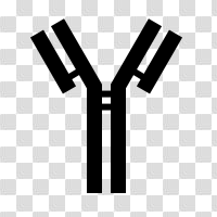 Free: Antibody - Antibody Svg Transparent PNG - 505x413 - Free Download ...