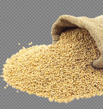 Free: Millet PNG Image Background - nohat.cc