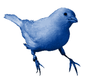 Free: Canary png 1 » PNG Image - nohat.cc