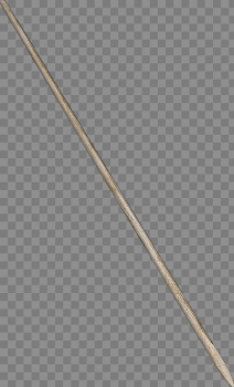 Free: DayZ Common carp Fish - fish - nohat.cc