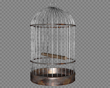Free: Steel Cage PNG, Free HD Steel Cage Transparent Image - PNGkit ...