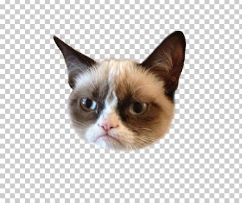 Free: Lolcat PNG - Lolcats Invisible, Lolcat Work, Lolcats Happy ...