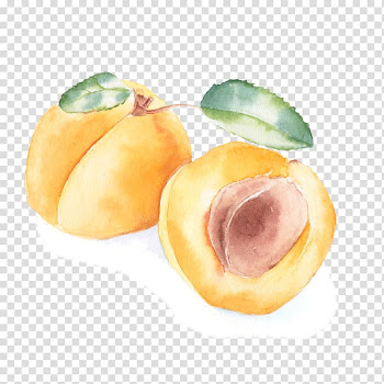 Free: Peach Melba , peach cartoon transparent background PNG clipart ...