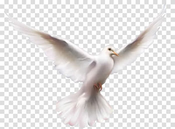 Free: PNG Holy Spirit Transparent Holy Spirit.PNG Images. | PlusPNG ...