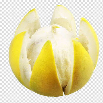 Free: Pomelo Cartoon Clip art - Grapefruit family cartoon vector ...