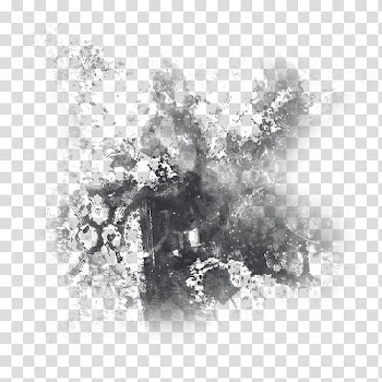 Free: Black Abstract Lines PNG Image Transparent - nohat.cc