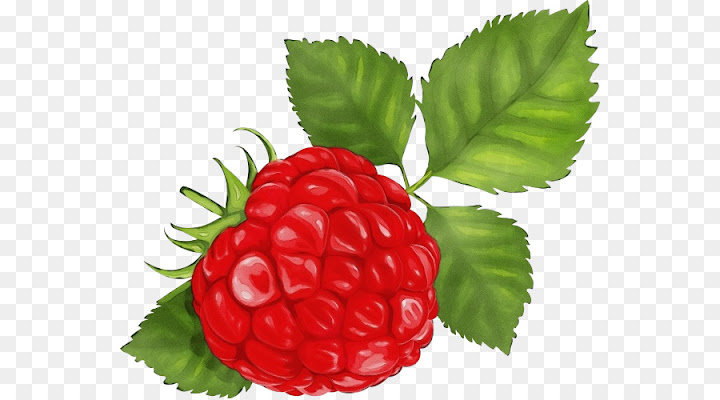 Free: berry raspberry rubus west indian raspberry fruit - nohat.cc