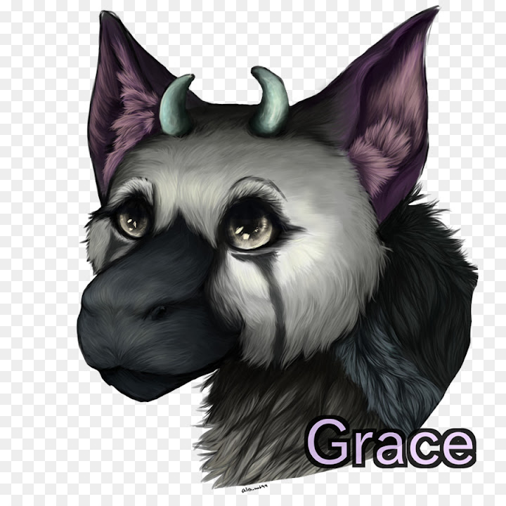 Free: Furry Fandom, Dog, Drawing, Cartoon, Snout PNG - nohat.cc