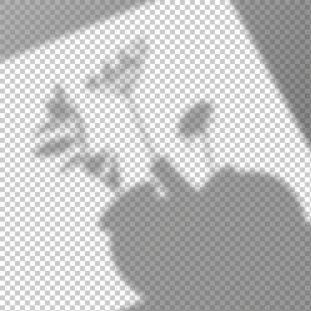 Free: Transparent shadows overlay effect Free Vector - nohat.cc