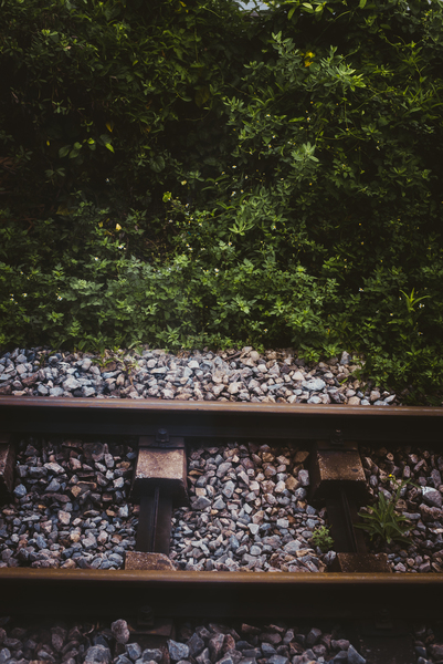 Free: Train Rails Near Trees - nohat.cc