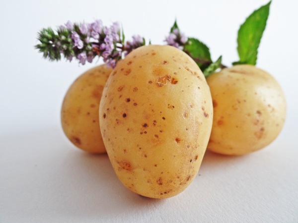 Free: Yellow Oval Potato - nohat.cc