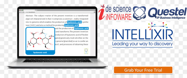 Free: Intellixir Sas, Online Advertising, Questel Sas, Technology ...