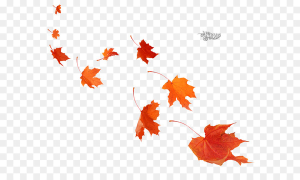 Free: Maple leaf Poster Autumn Mural - Leaf - nohat.cc