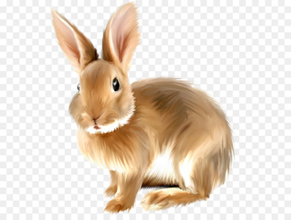 Free: Angora rabbit Clip art - Painted Bunny Clipart.png - nohat.cc