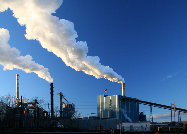 Free: Smurfit_Stone_025.jpg - nohat.cc