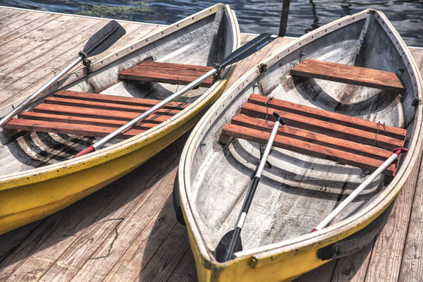 Free: Rowing Boats Free Photo - nohat.cc