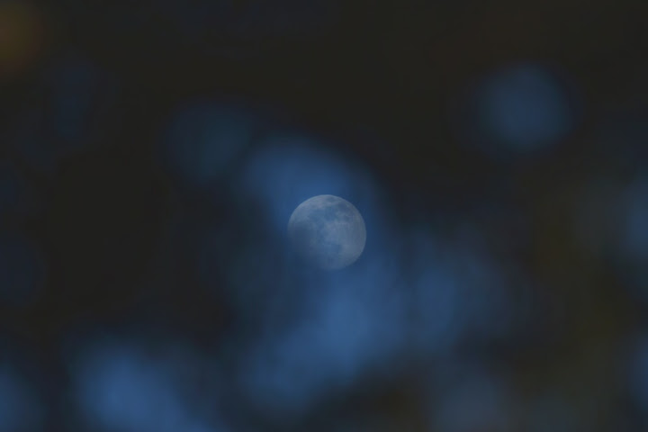 Free: Photo of Full Moon during Night Time - nohat.cc