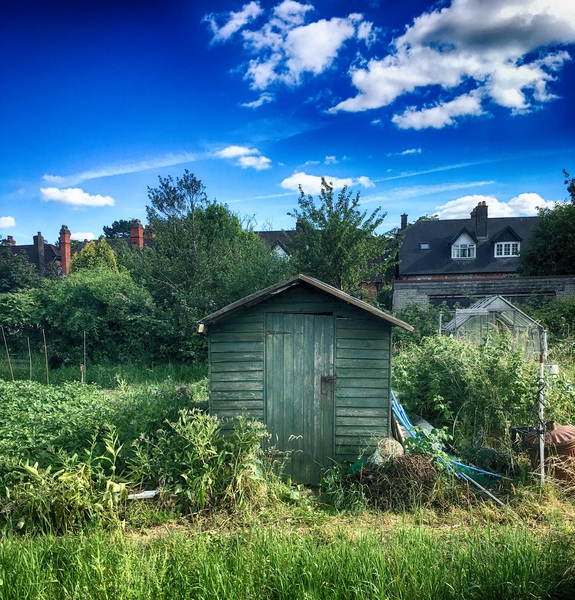 Free: Green Wooden Shack Near Grass Field - nohat.cc