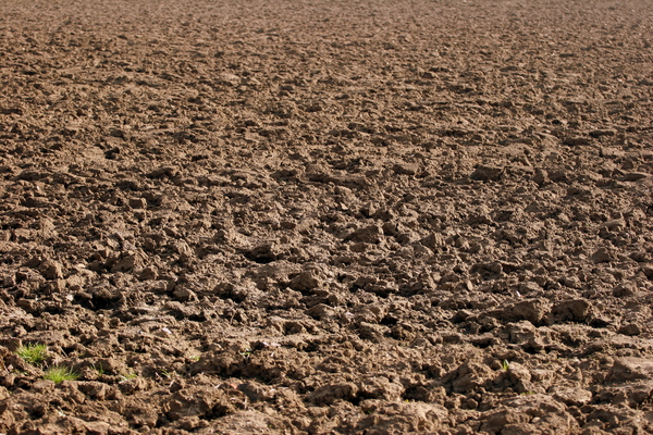 Free: ploughed_field.JPG - nohat.cc