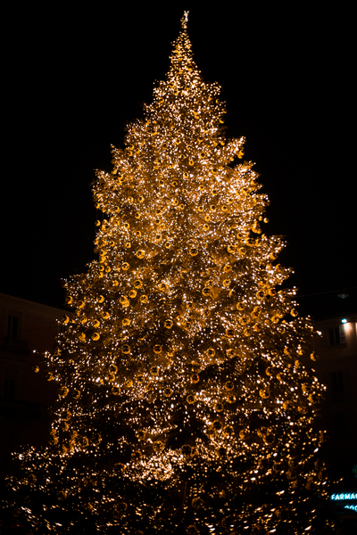 Free: Photo of Lighted Christmas Tree at Night - nohat.cc