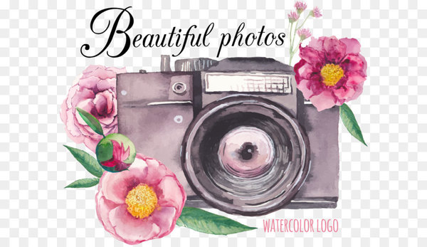 Free: Camera Flower Drawing - Vector camera - nohat.cc