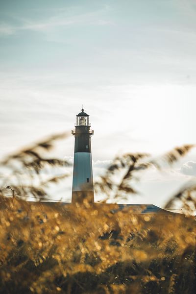 Free: selective focus photography of blue lighthouse under white clouds ...