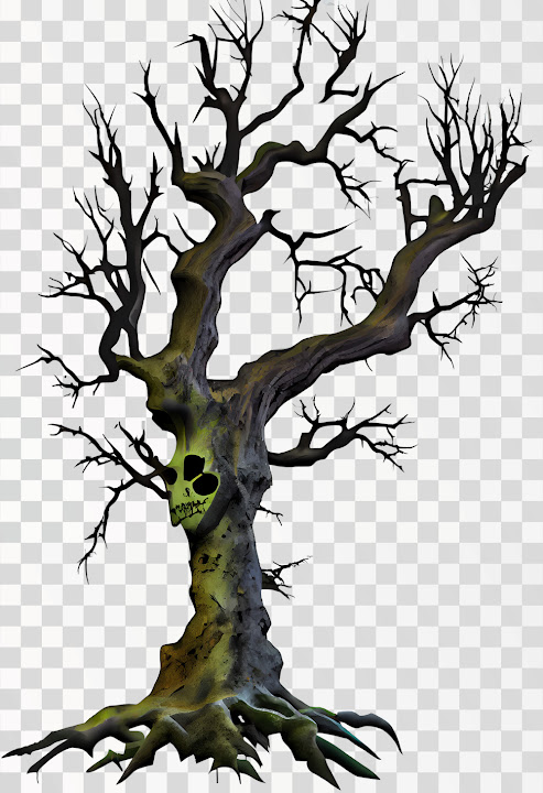 Free: Spooky Tree PNG transparent, halloween tree, tree with skull ...