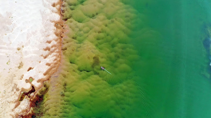Free: Birds-eye-view Photo of Body of Water - nohat.cc