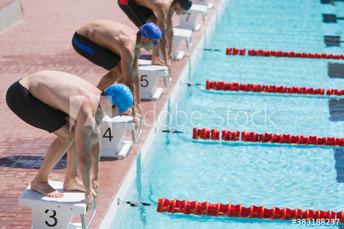 Free: Male swimmers poised on starting blocks above sunny swimming pool ...