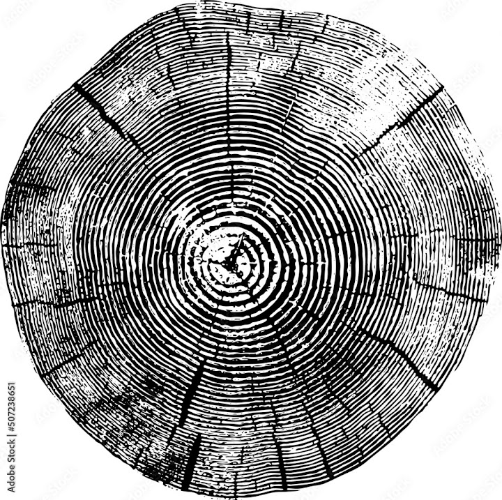 Free: tree stump texture with a transparent background - nohat.cc