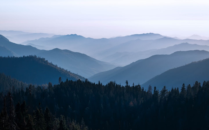 Free: Mountain View of Pine Trees - nohat.cc