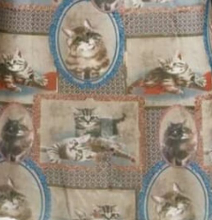 Free: cat Allover - nohat.cc