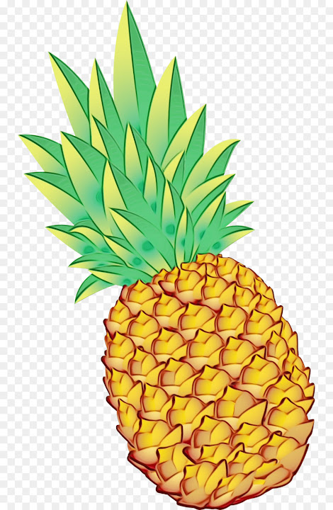 Free: Pineapple, Drawing, Watercolor Painting, Ananas PNG - nohat.cc