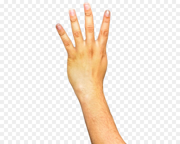 Free: Hand Download - Arm Transparent Background png download - 540*720 ...