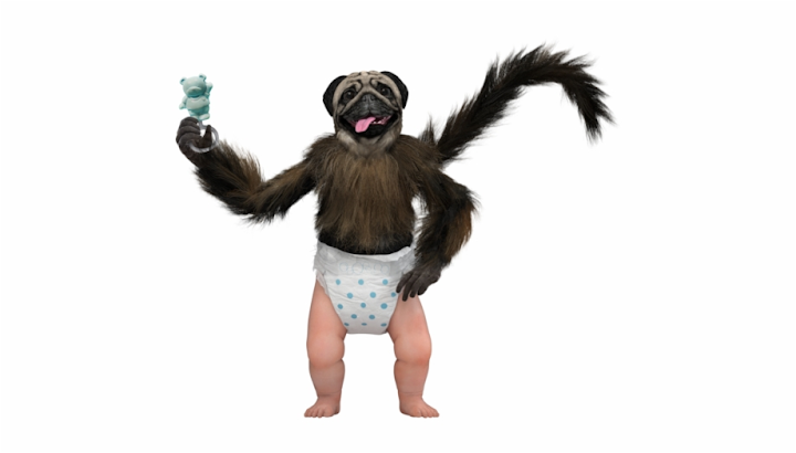 Free: Puppy Monkey Baby Png - Pitou Singe Bébé - mtn dew png, Free PNG ...
