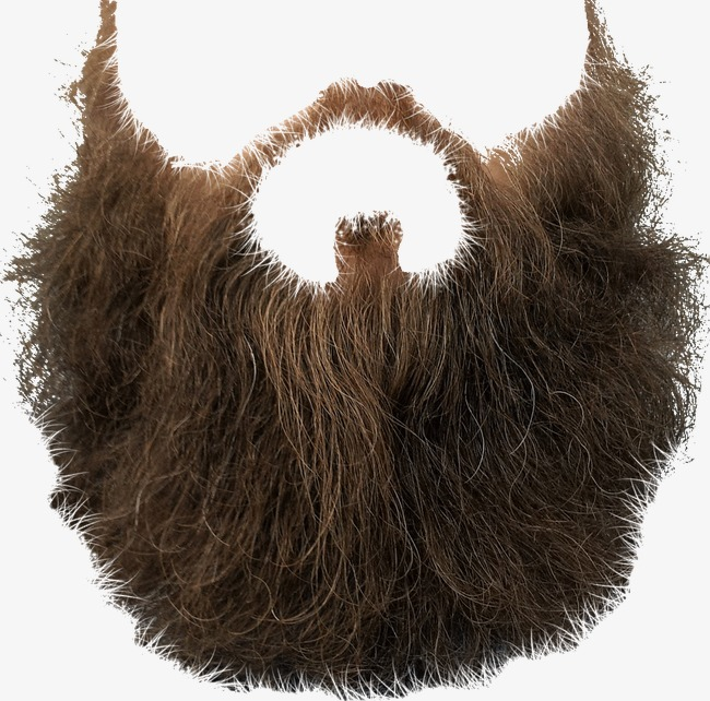 Free: Fur, Hairy, Animal Hair PNG Transparent Image and Clipart for ...