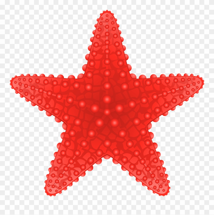Starfish Beach Clip Art