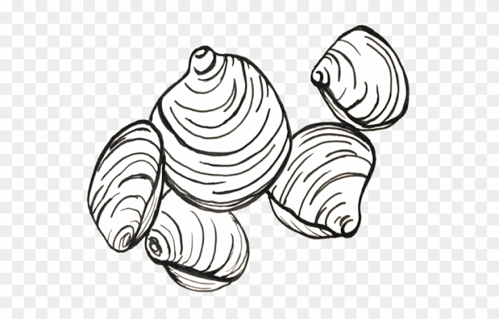 Free: Hard Clam - Aquaculture - Free Transparent PNG Clipart Images ...
