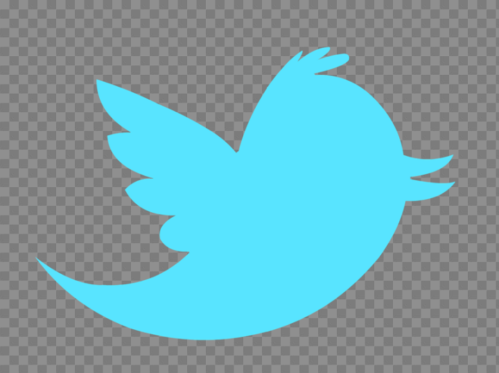 Free: Logo Twitter Computer Bird Icons PNG Free Photo - nohat.cc