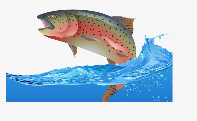 Free: Fish Leaping, Fish Vector, Jumping Fish, Jump Up PNG and Vector ...